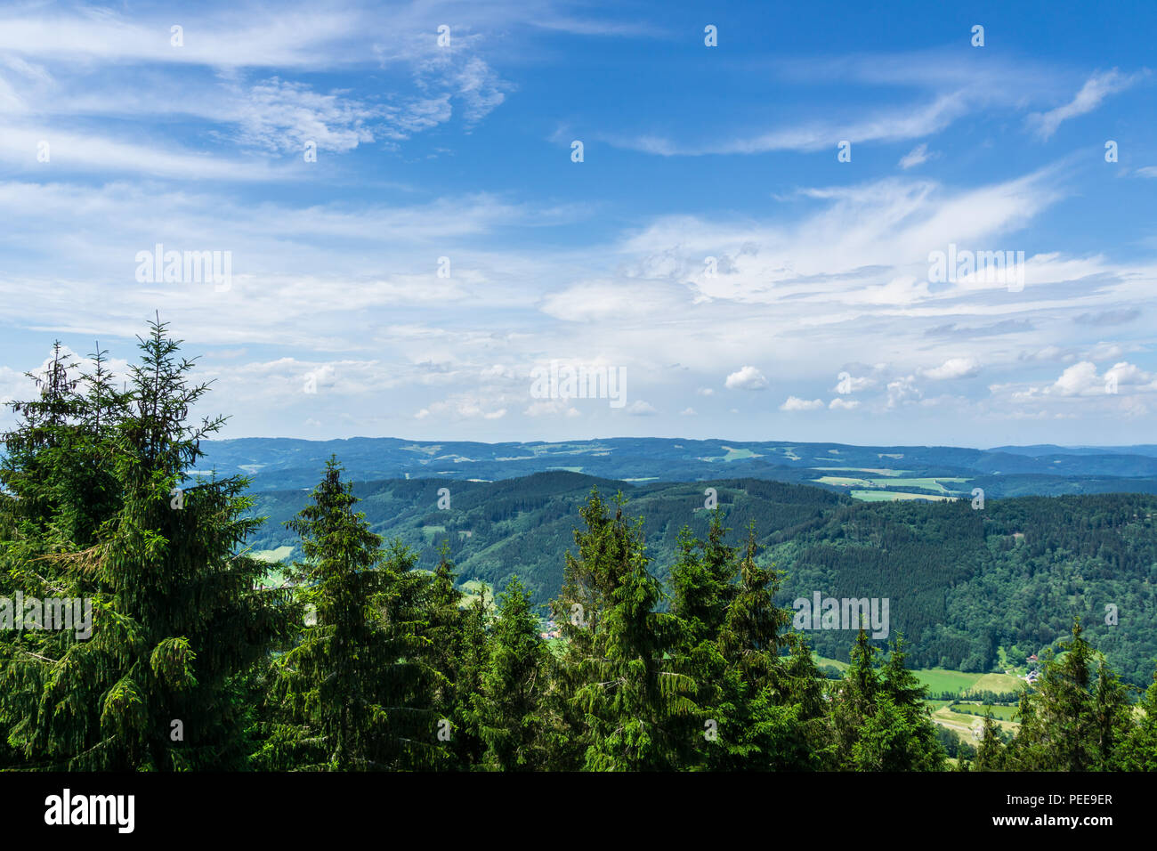 Black forest germany landscape summer hi-res stock photography and ...