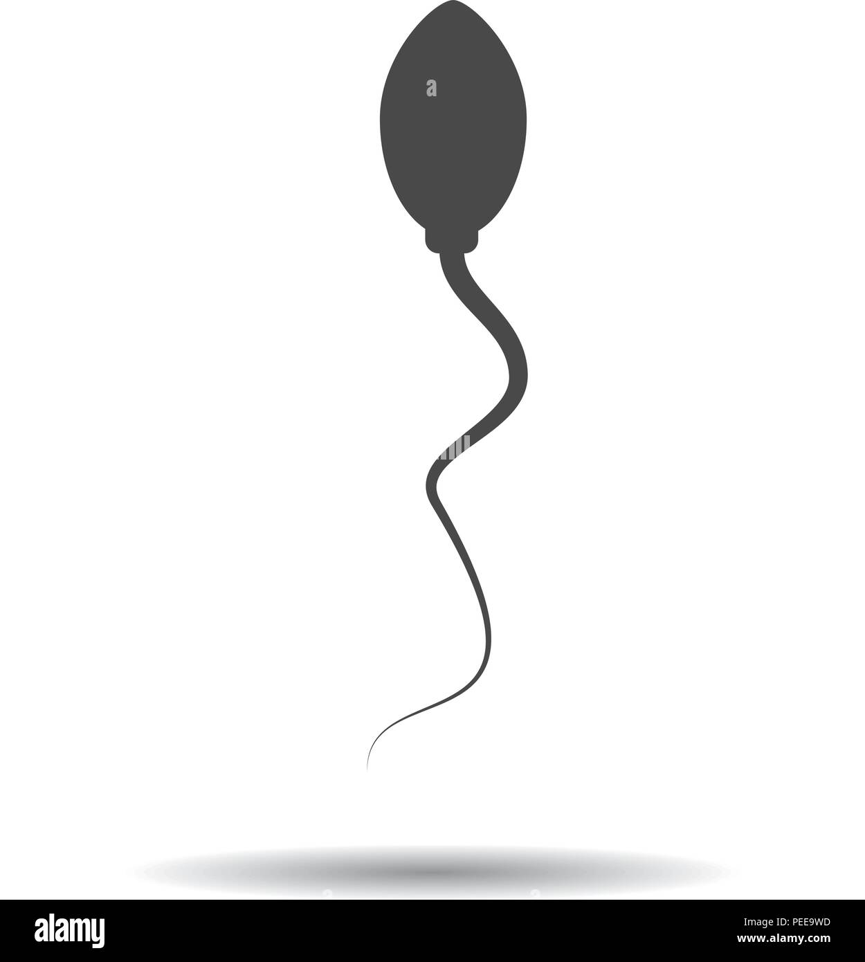 Drawing of human sperm hi-res stock photography and images - Alamy