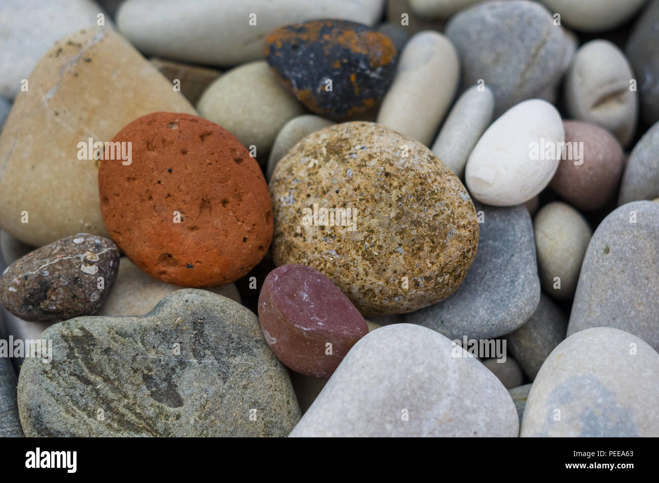 boulders and colorful pebbles on the beach on a warm summer day Stock ...