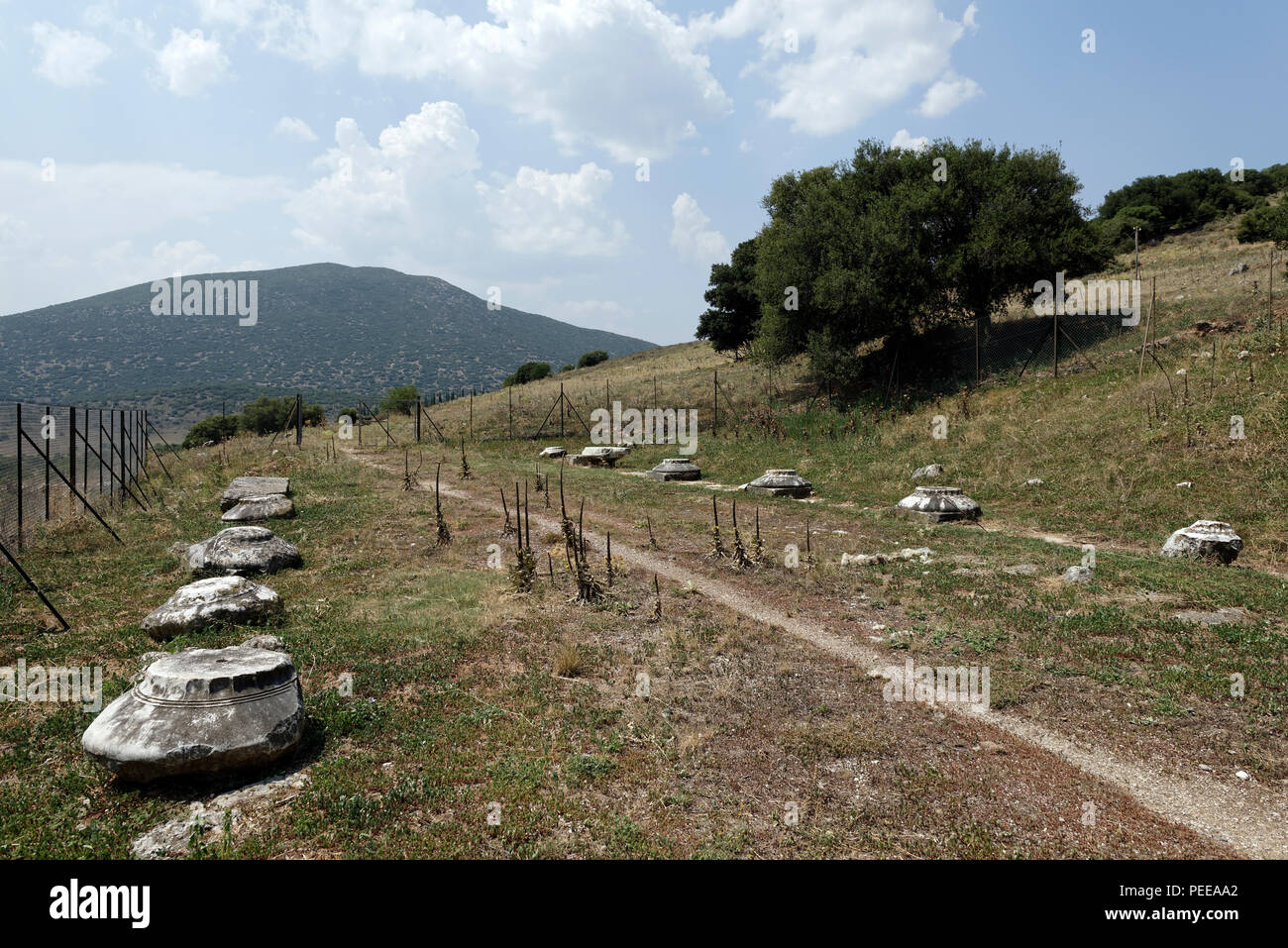 Peripteral temple hi-res stock photography and images - Alamy