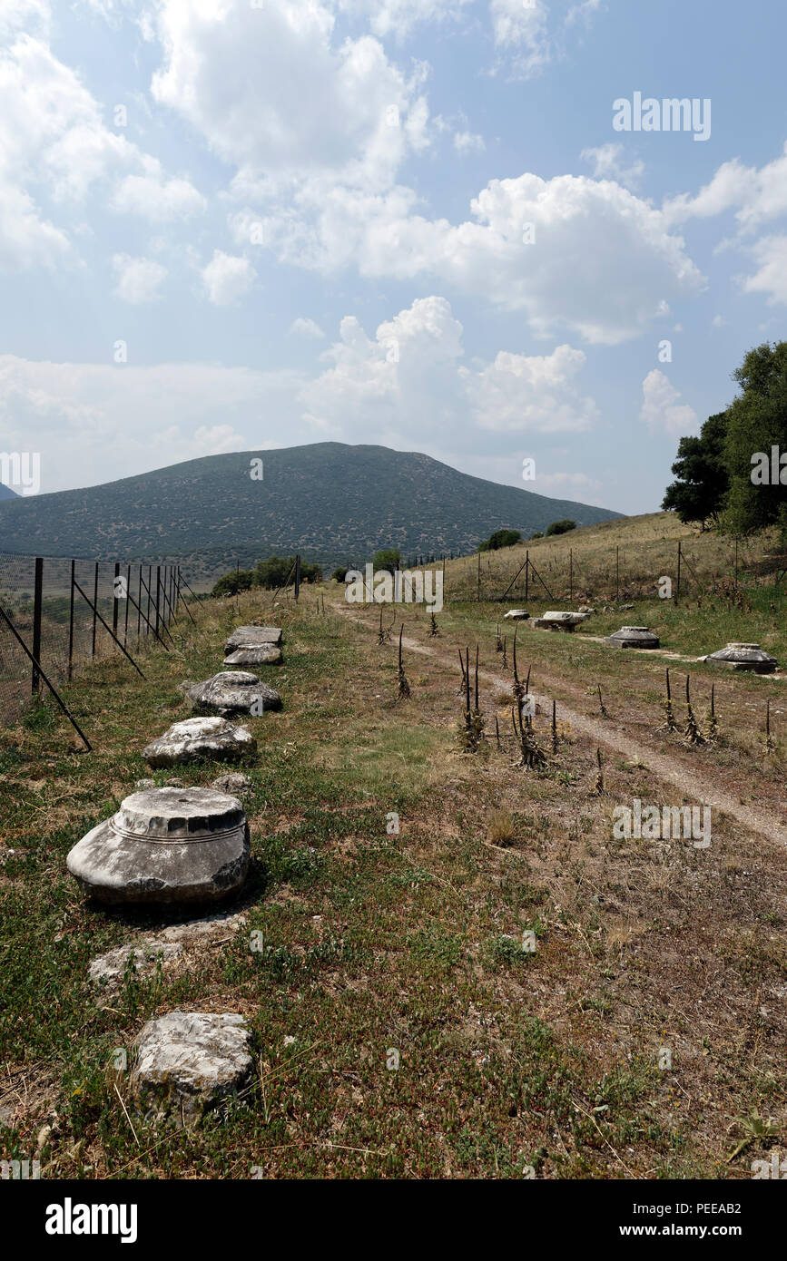 Doric peripteral temple hi-res stock photography and images - Alamy