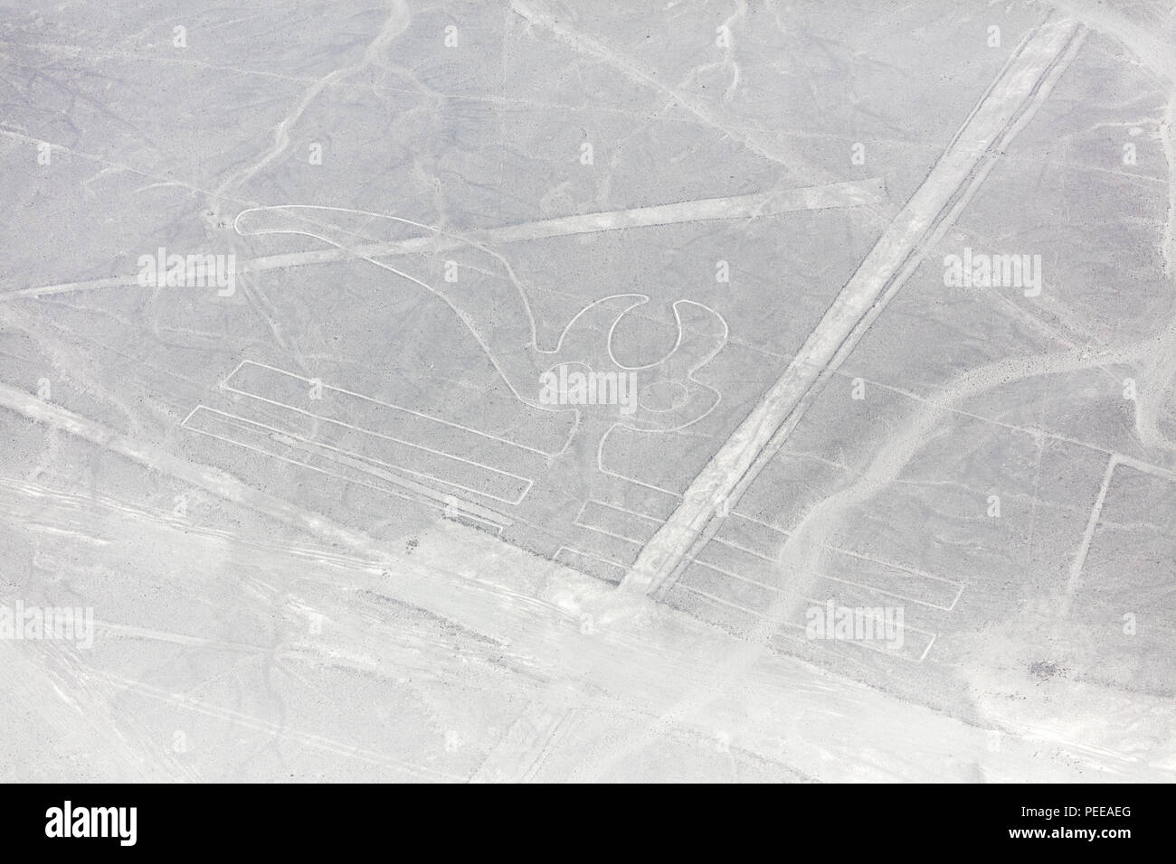 Mysterious figures Nazca desert from the aircraft Stock Photo - Alamy