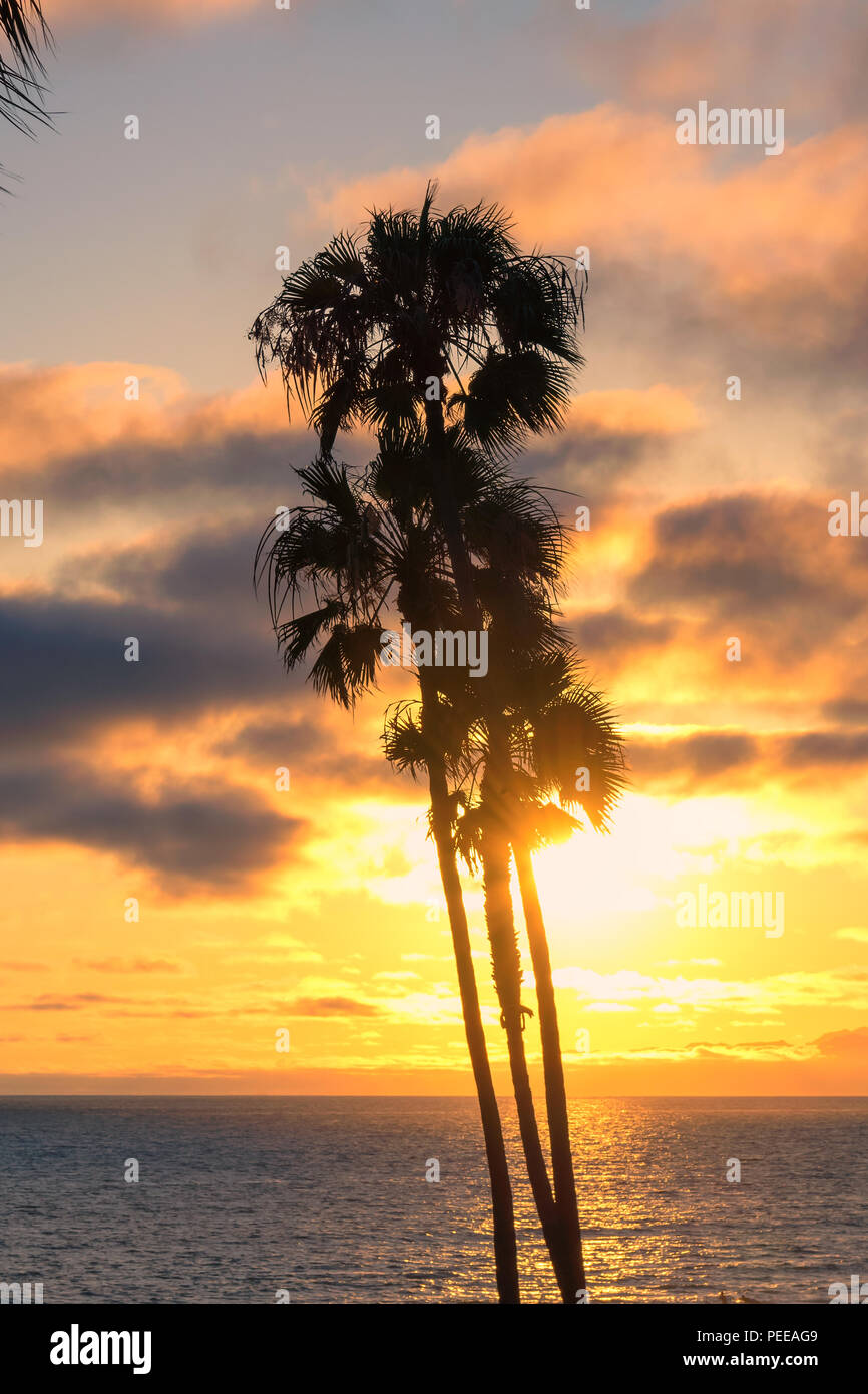 Jamaican Beaches At Sunset