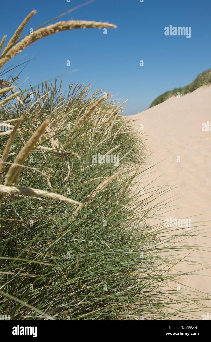 The gallivant camber sands hi-res stock photography and images - Alamy