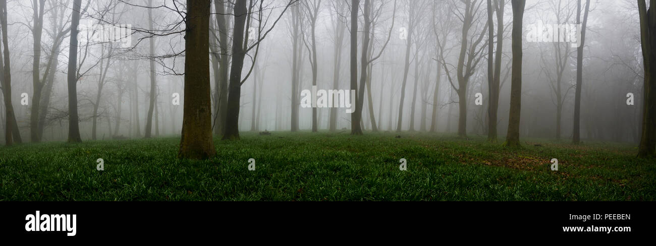 Misty scenes hi-res stock photography and images - Alamy
