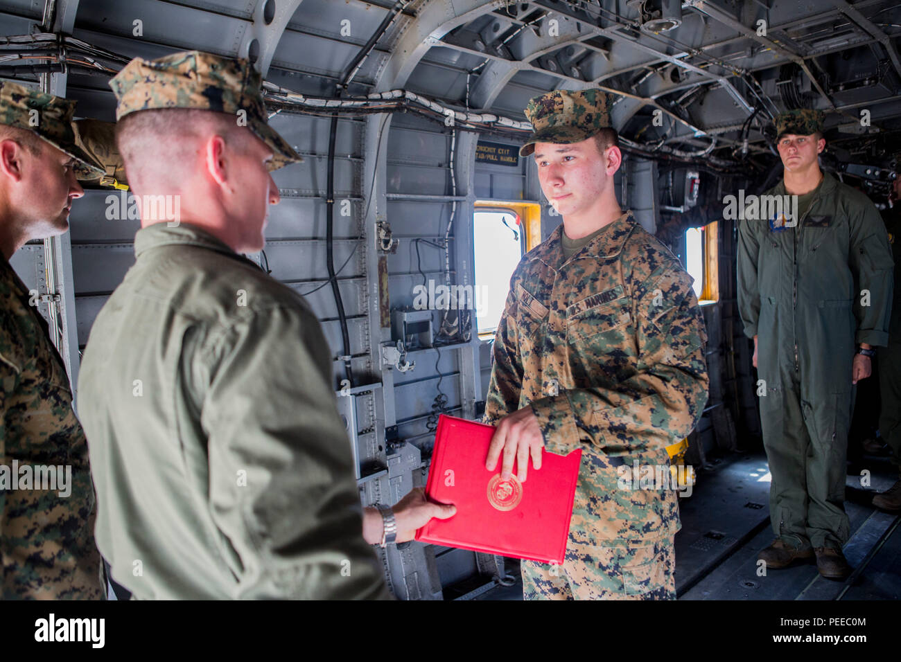 El holt hi-res stock photography and images - Alamy