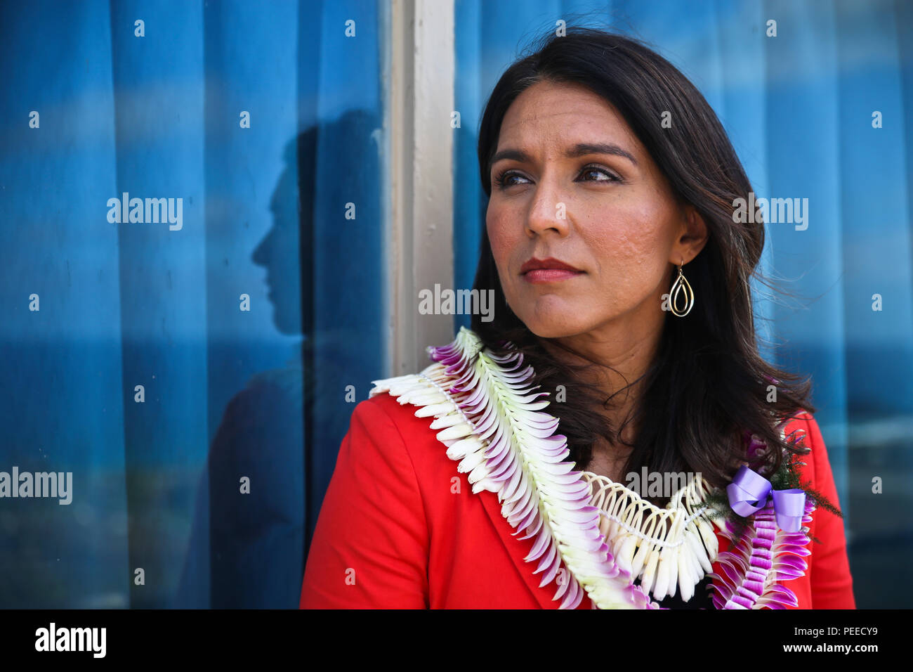 Tulsi gabbard hi-res stock photography and images - Alamy
