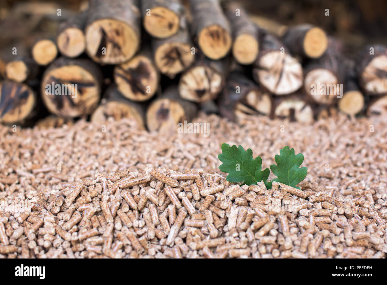 Lot of Oak biomass - Pile of wood, leaves and pellets Stock Photo - Alamy