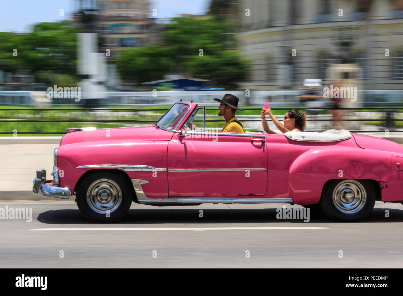 Woman taking photos riding in a pink convertible American classic car ...