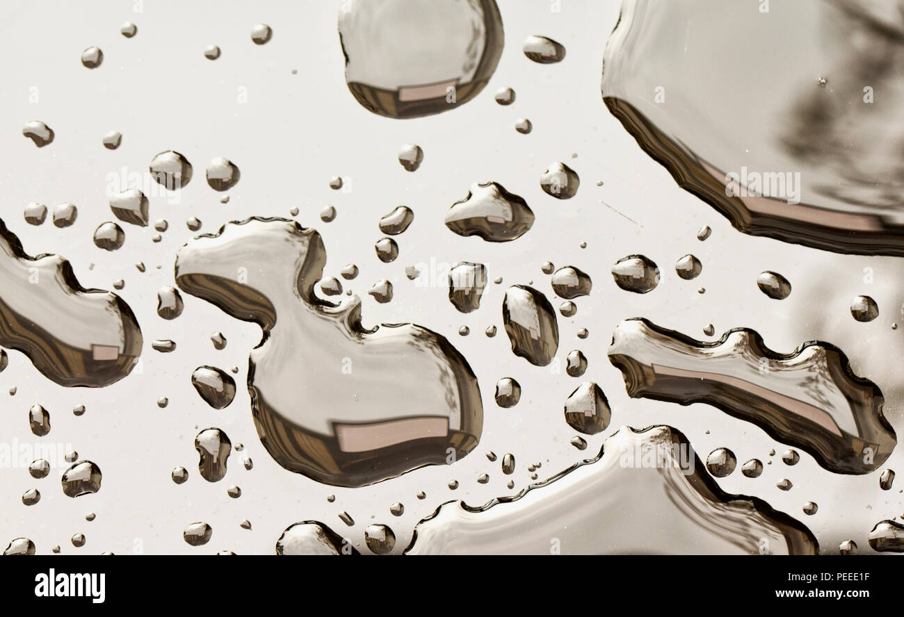Water drops over black reflecting surface, horizontal image Stock Photo ...