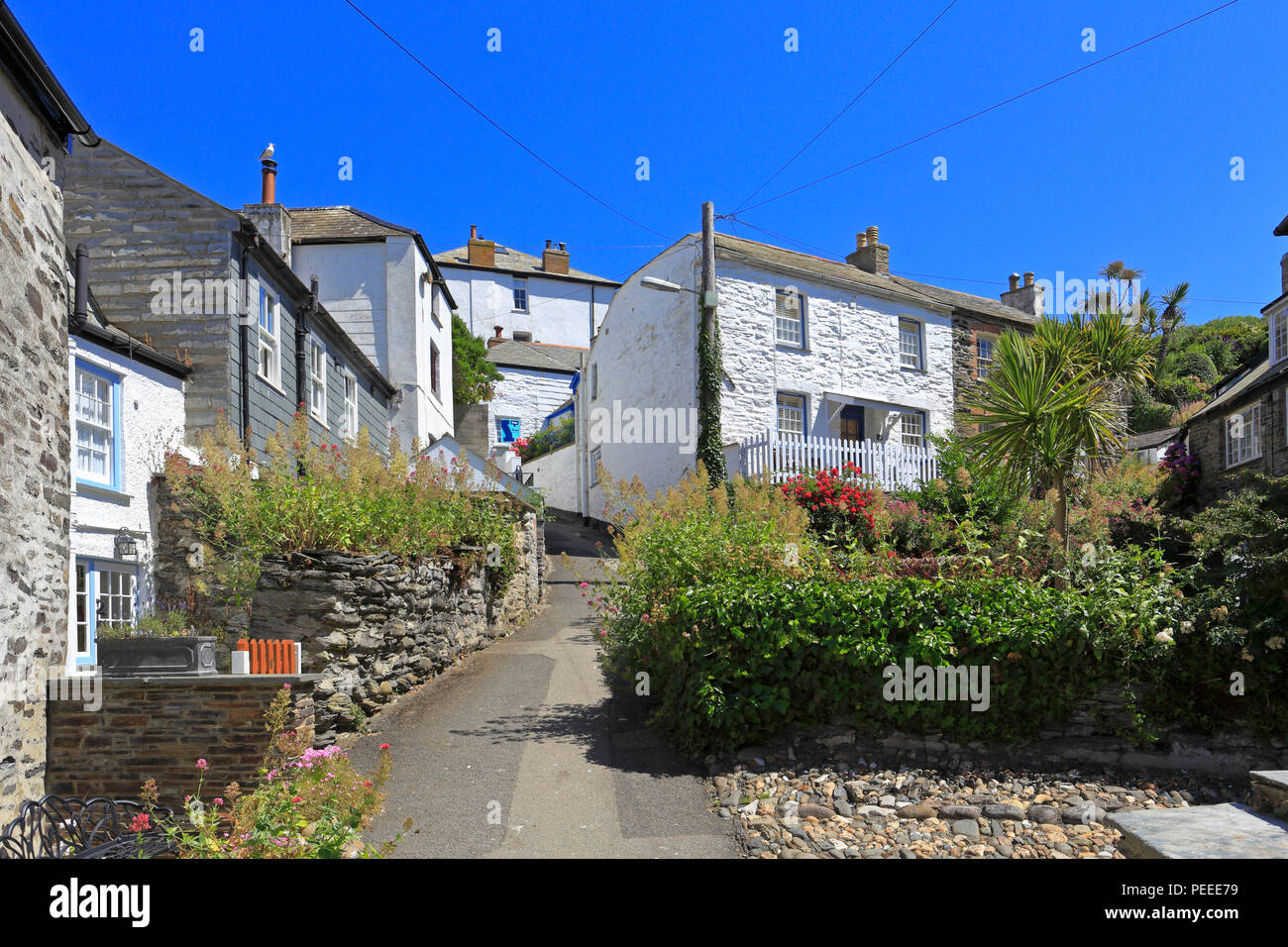 Whitewashed cottages on a narrow street in Port Issac, location of the ...