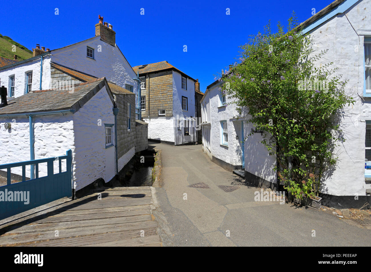 Whitewashed cottages on a narrow street in Port Issac, location of the ...