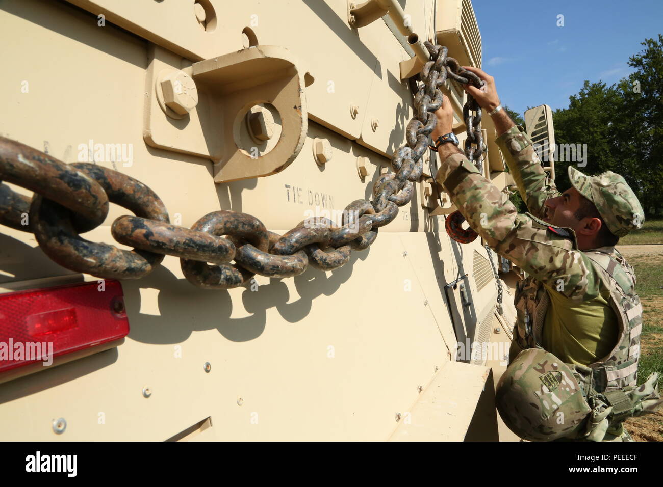 Chain viper hi-res stock photography and images - Alamy