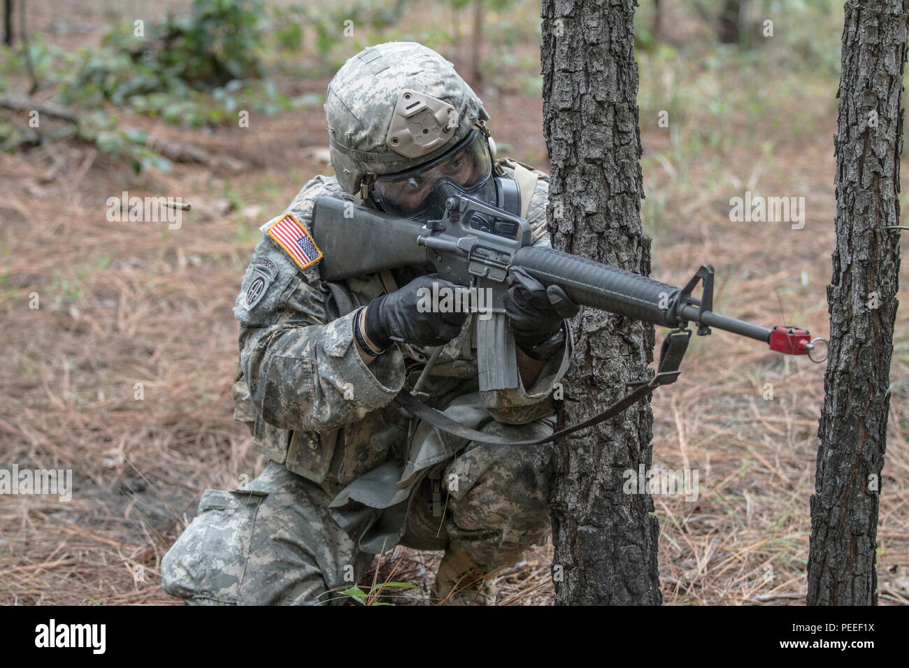 Drill sergeant candidates with the United States Army Drill Sergeant ...