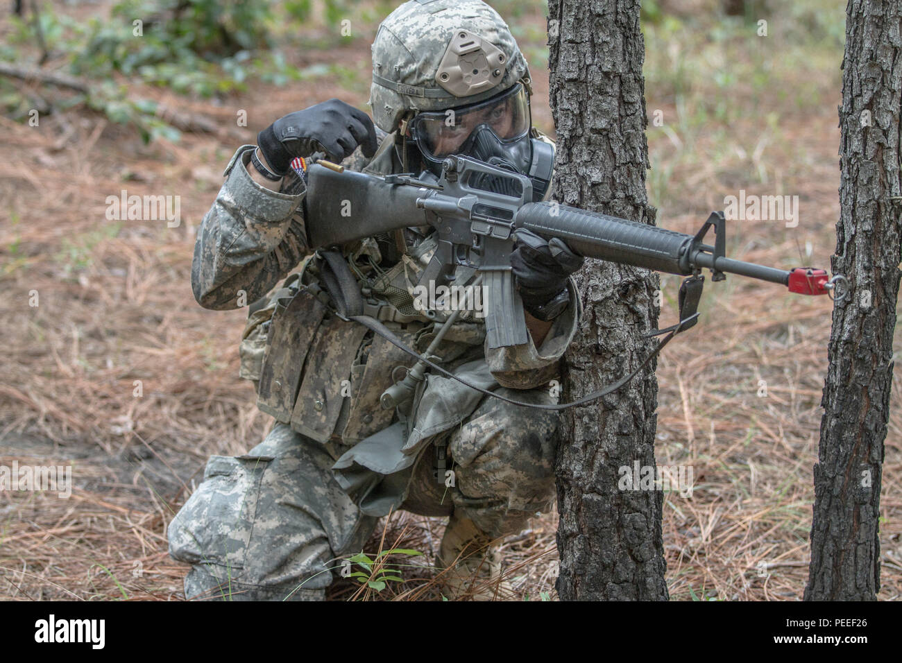 React To Ambush Stock Photos & React To Ambush Stock Images - Alamy