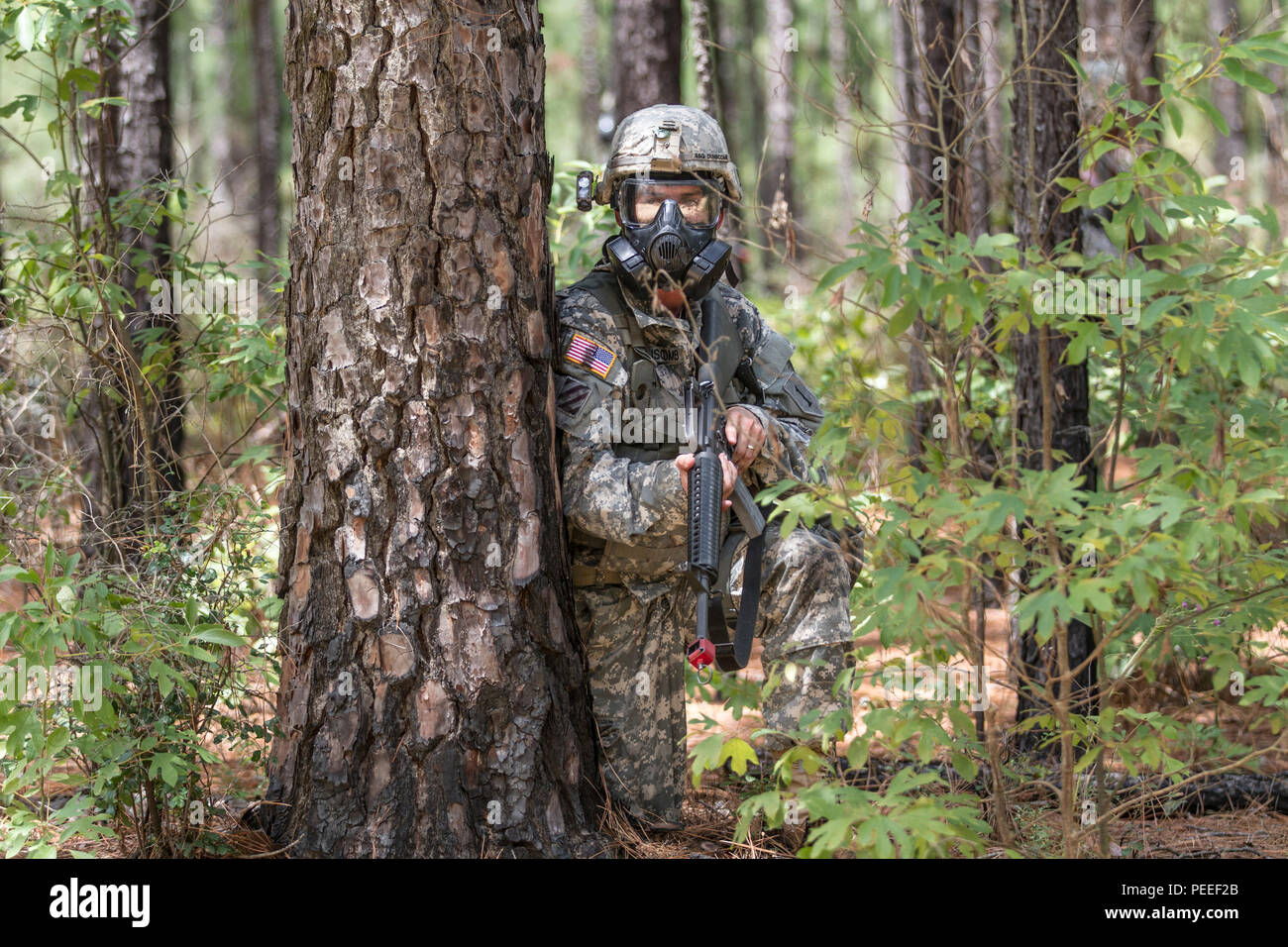 A drill sergeant candidate at the United States Army Drill Sergeant ...