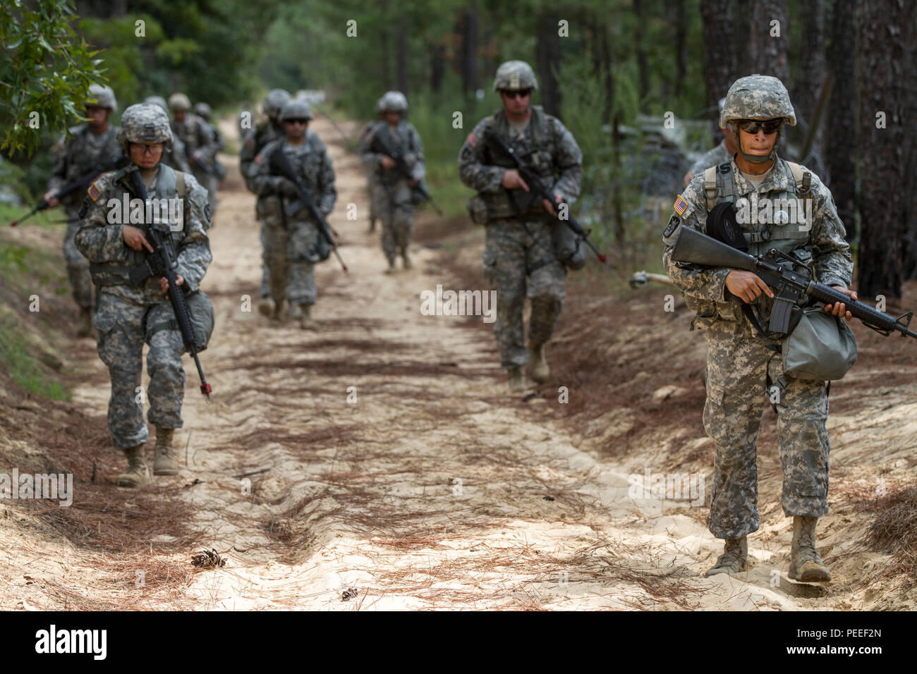 Drill sergeant candidates with the United States Army Drill Sergeant ...