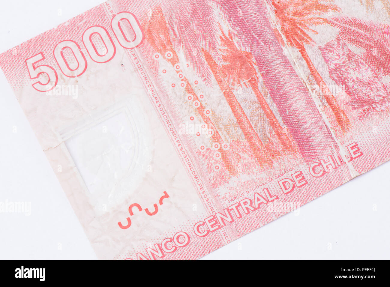 Close up detail chile paper money Stock Photo - Alamy