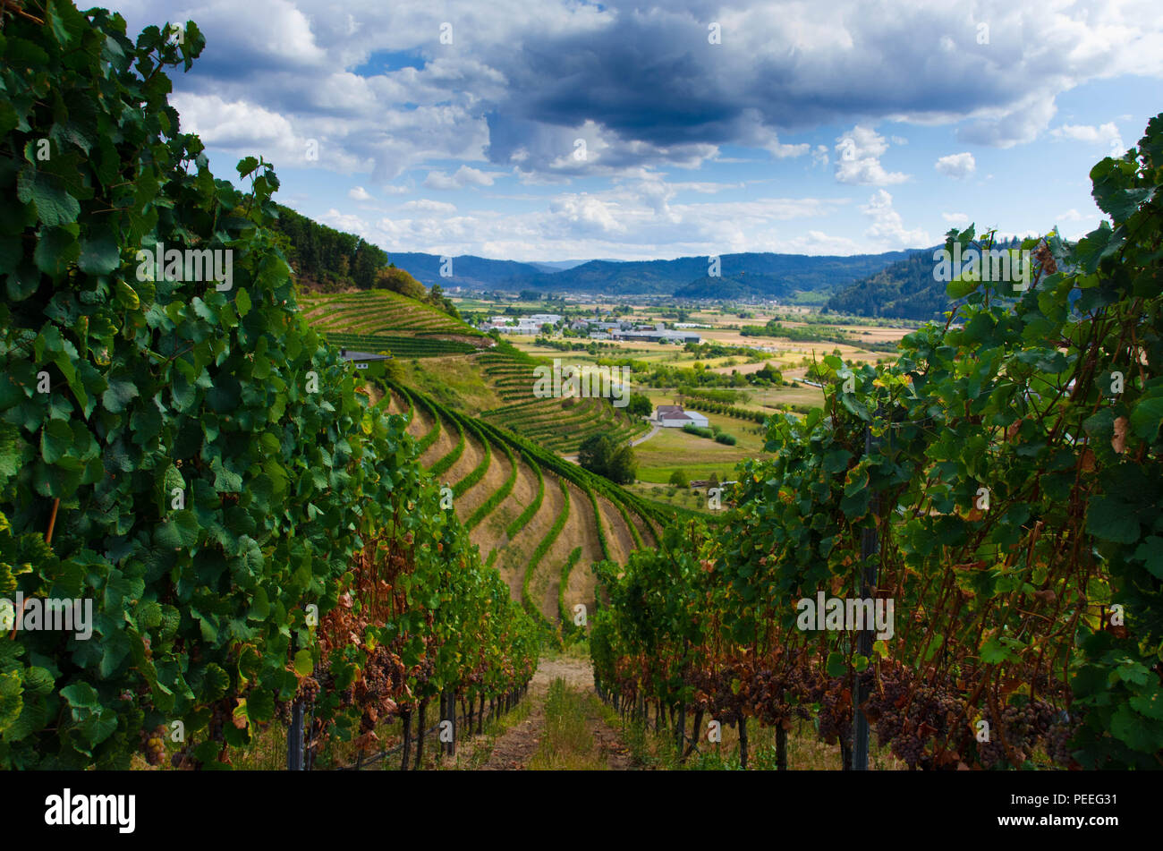 Kinzigtal hi-res stock photography and images - Alamy