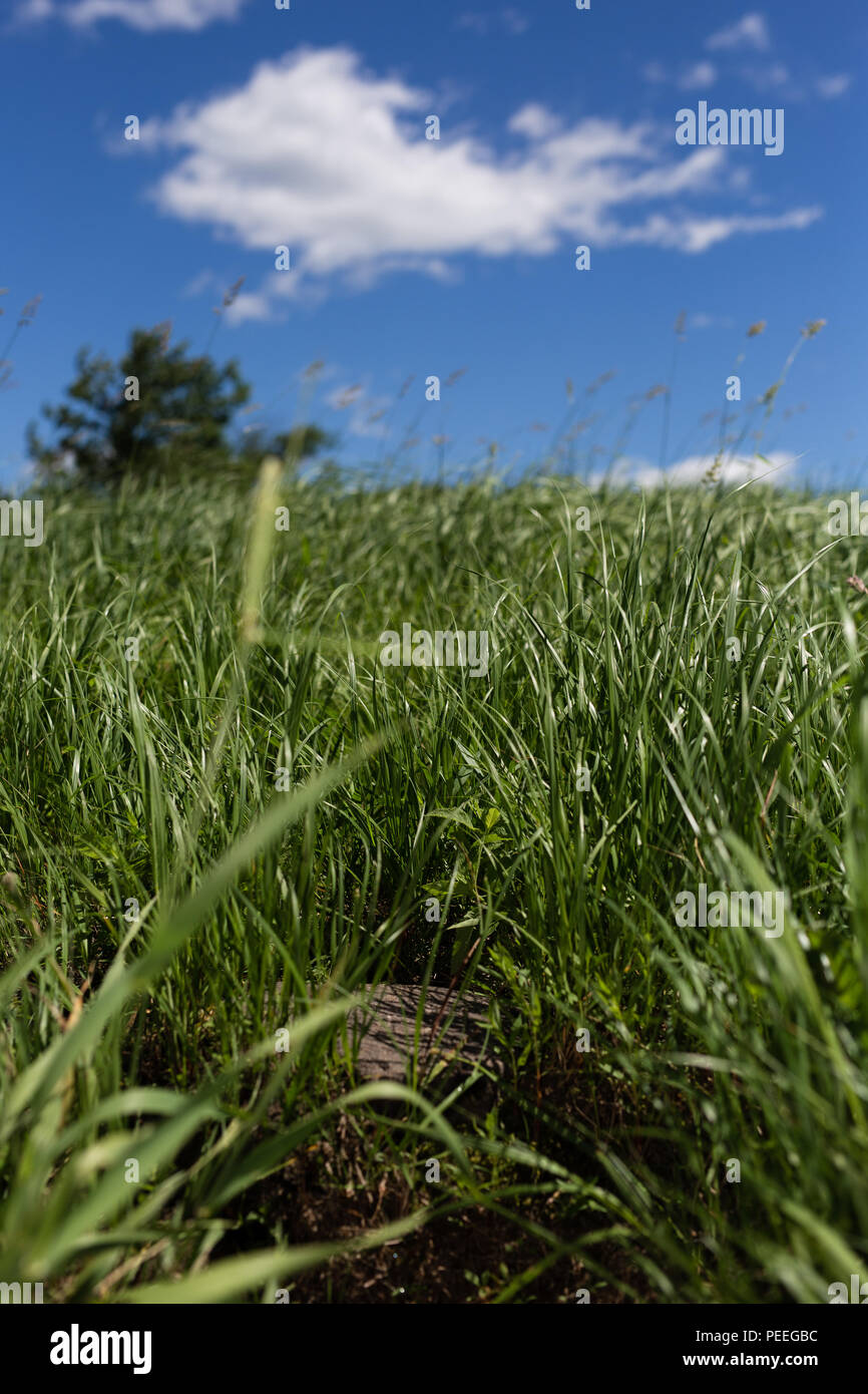 Fredericton hi-res stock photography and images - Alamy