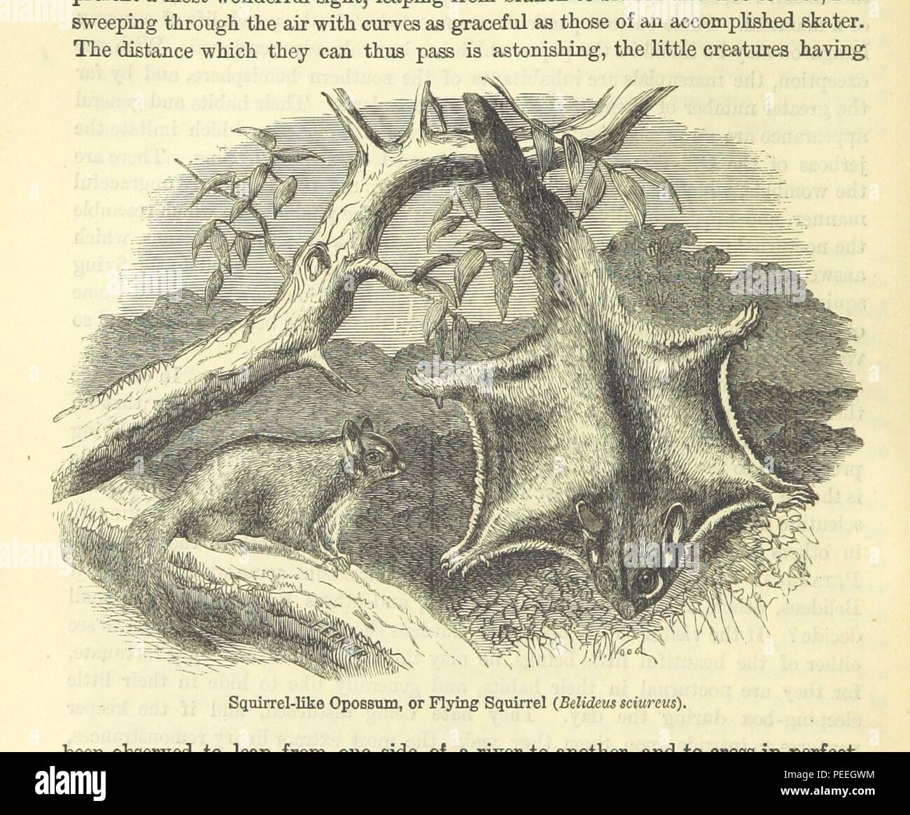 Image taken from page 266 of 'Beeton's Historical Romances, Daring ...