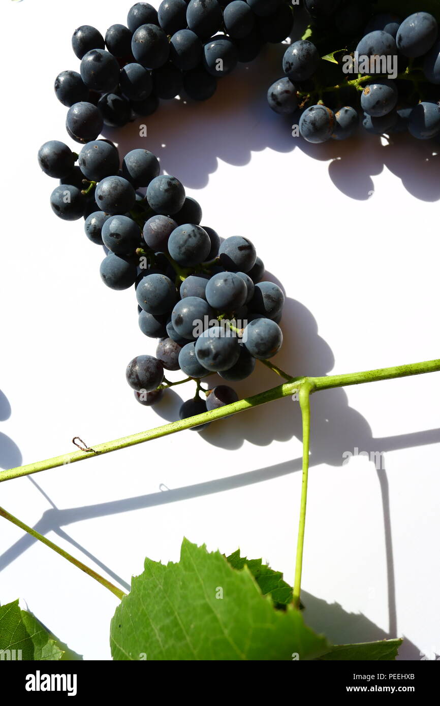 Food: Organic grapes Stock Photo - Alamy