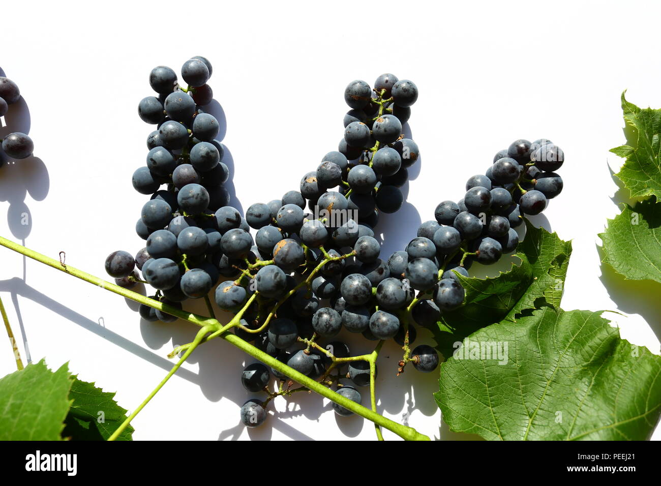 Food: Organic grapes Stock Photo - Alamy