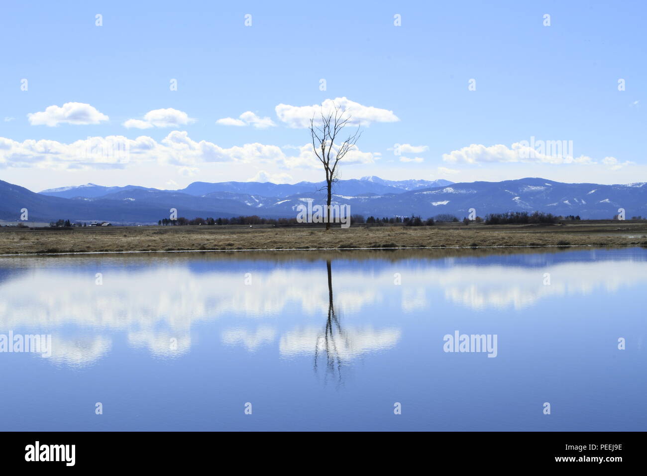 Ninepipe refuge hi-res stock photography and images - Alamy