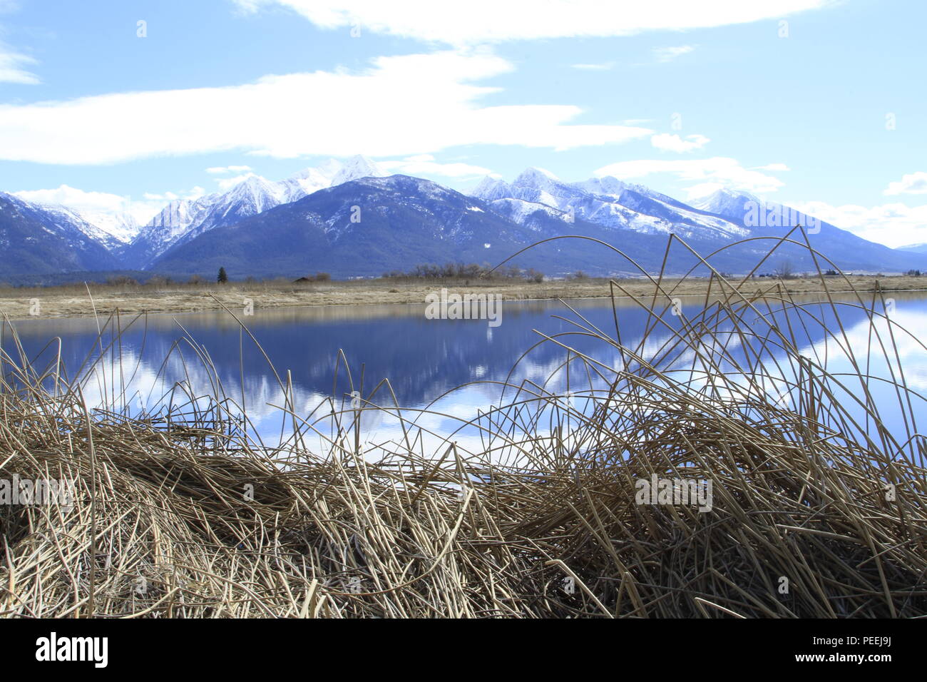 Mission Mountain range from Ninepipe National Wildlife Refuge, Rocky ...