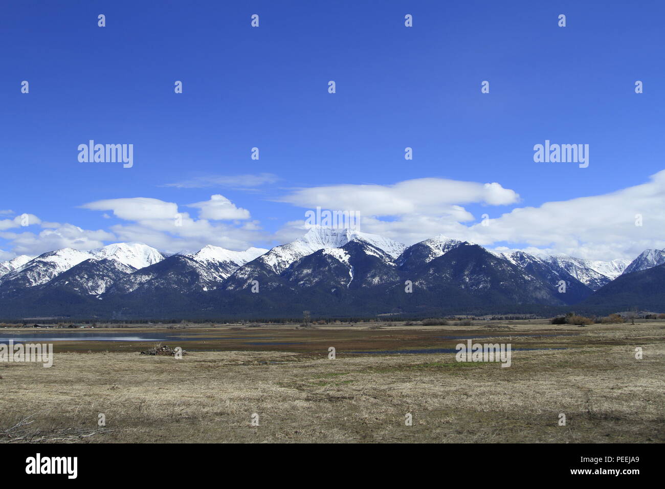 Mission Mountain range from Ninepipe National Wildlife Refuge, Rocky ...