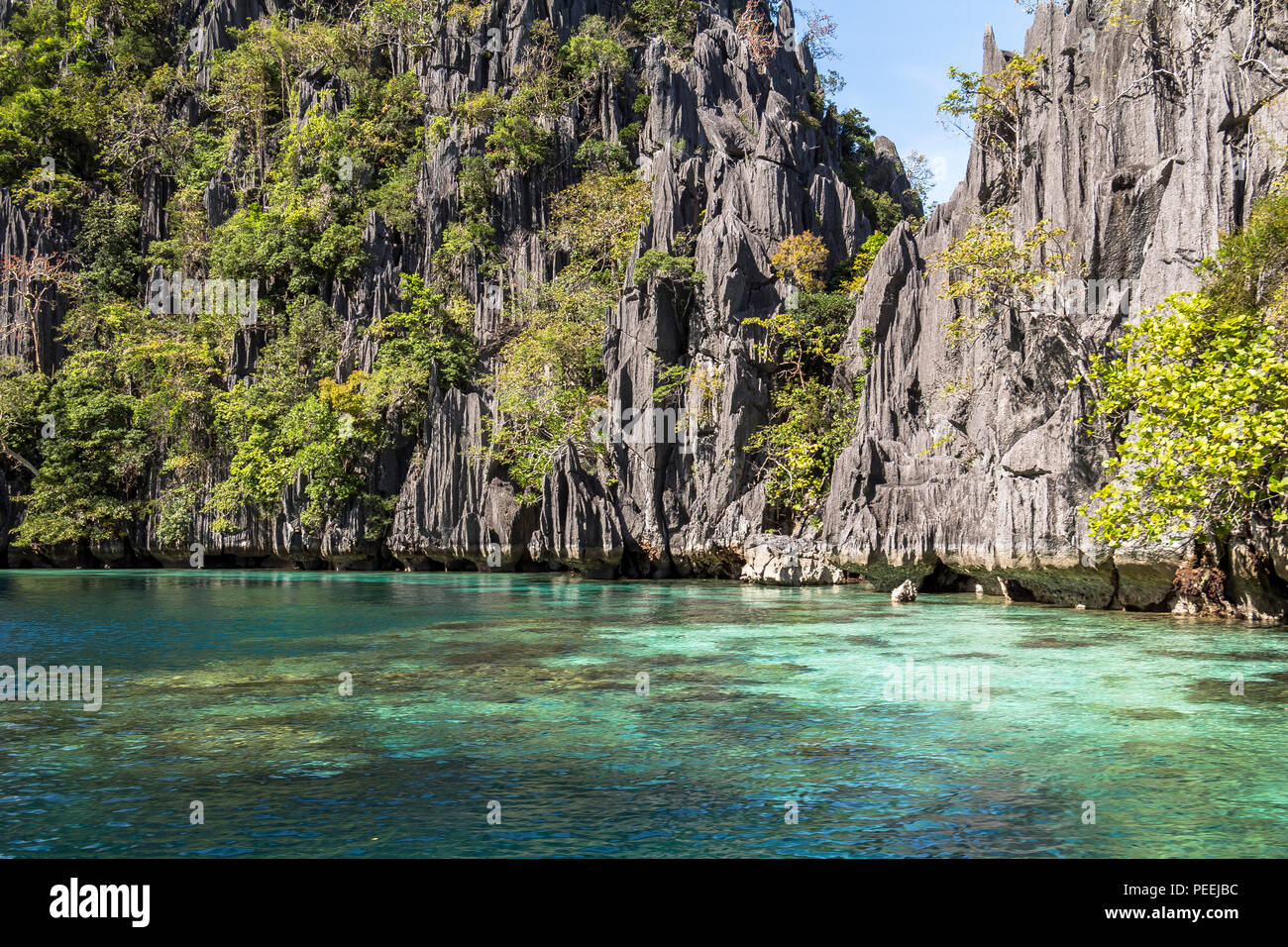 Turquoise water in beautiful scenery, philippines Stock Photo - Alamy
