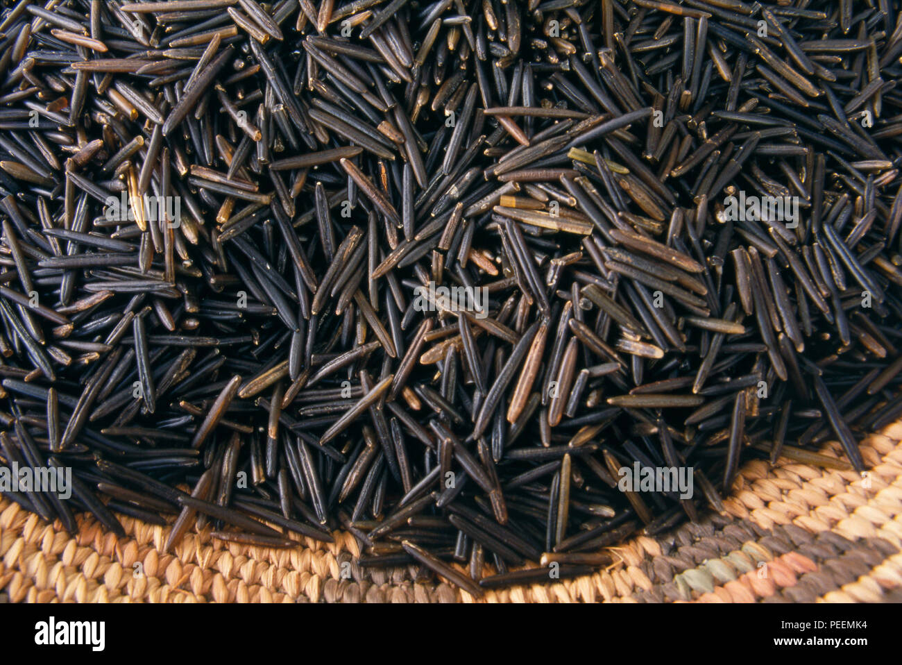 Wild rice, Minnesota/Wisconsin. Photograph Stock Photo - Alamy