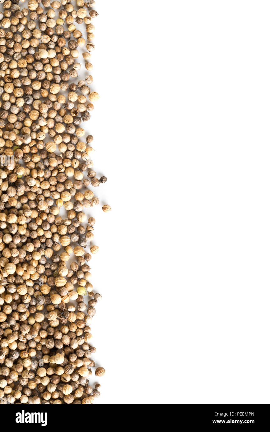 Raw, unprocessed organic coriander or cilantro seeds border on white ...