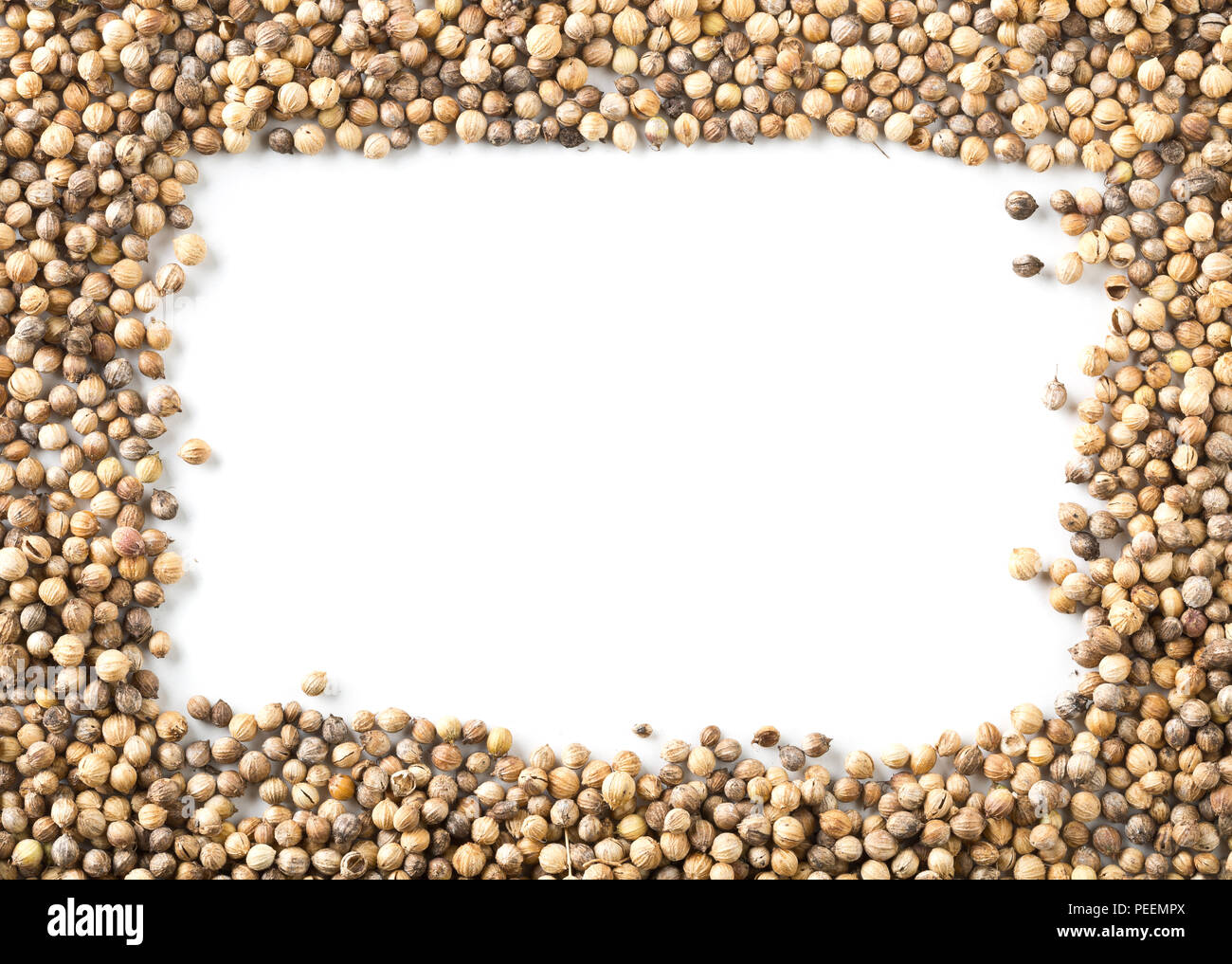 Raw, unprocessed organic coriander or cilantro seeds frame on white ...