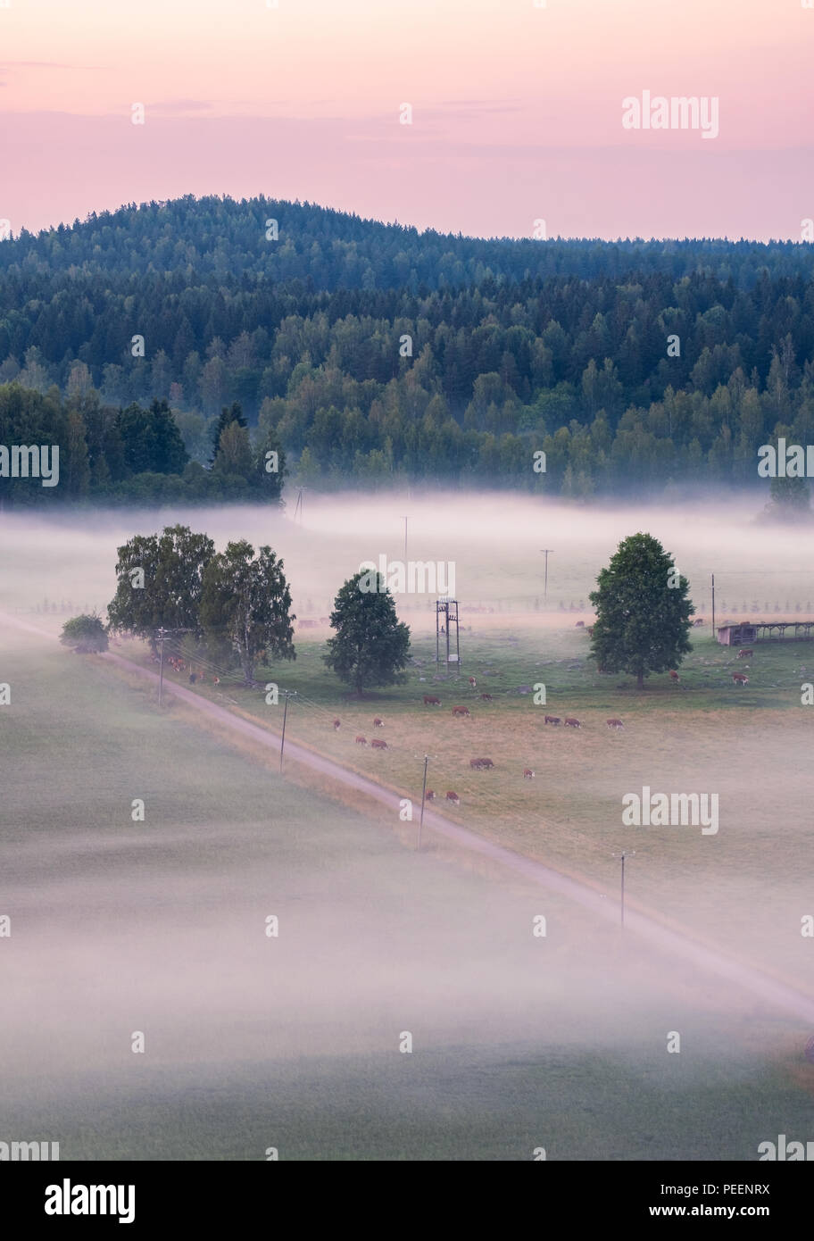 Beautiful summer countryside landscape hi-res stock photography and ...