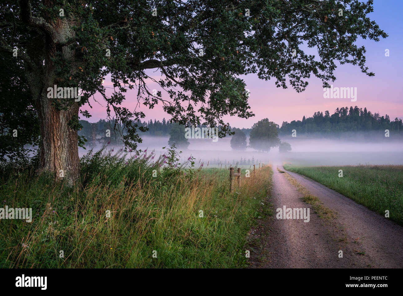 Straight to the countryside hi-res stock photography and images - Alamy