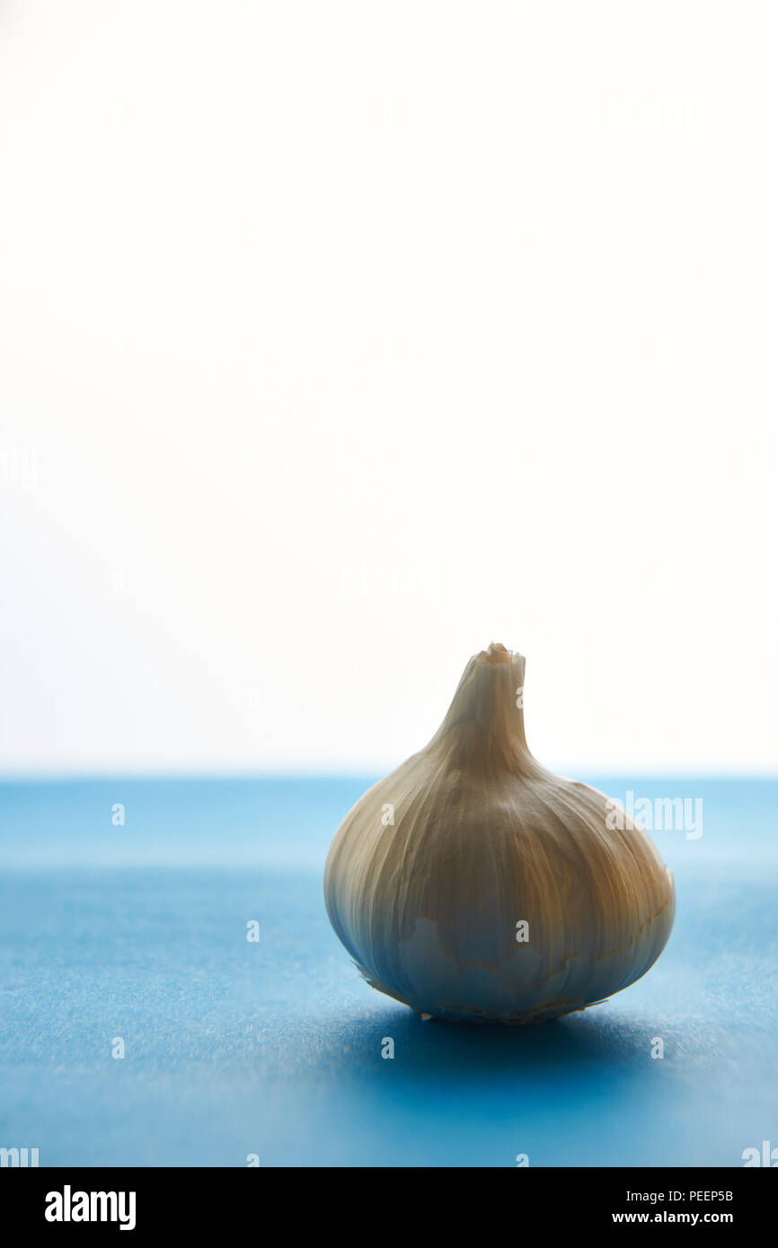 Common garlic allium sativum hi-res stock photography and images - Alamy