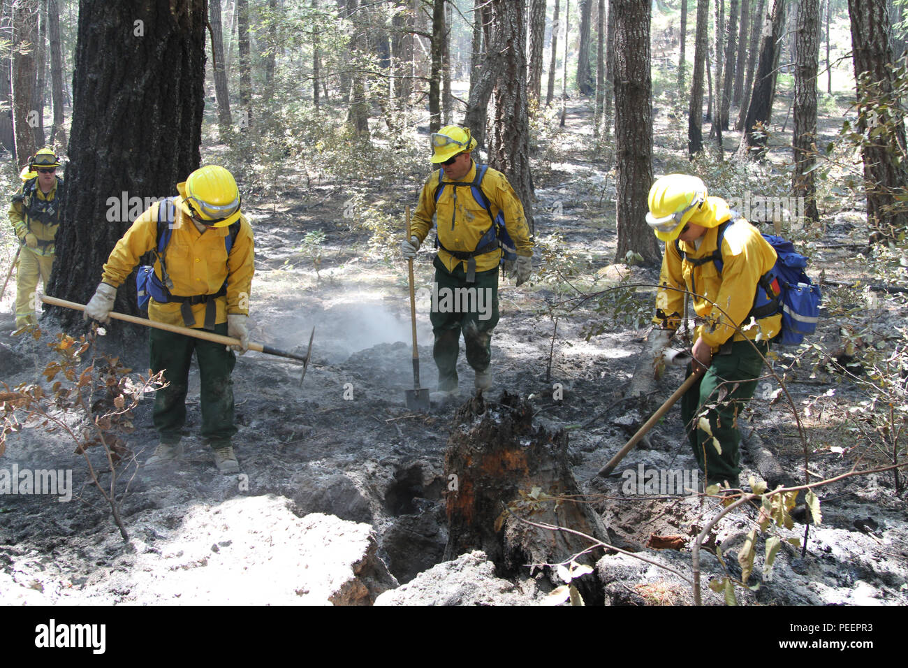 Wildfire mop up crew hi-res stock photography and images - Alamy
