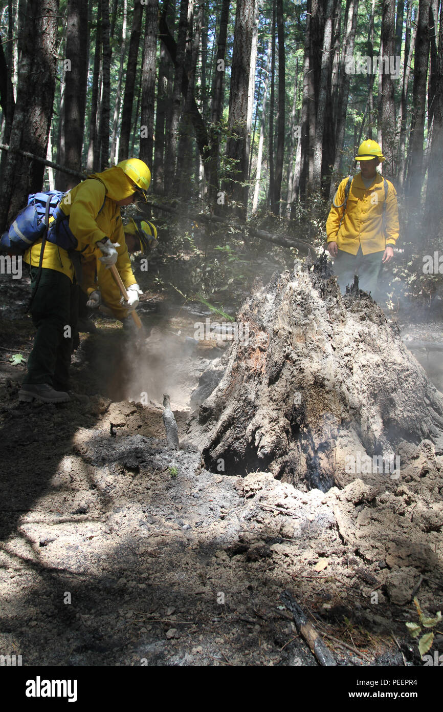 A firefighting crew from Task Force Alpha, California Army National ...