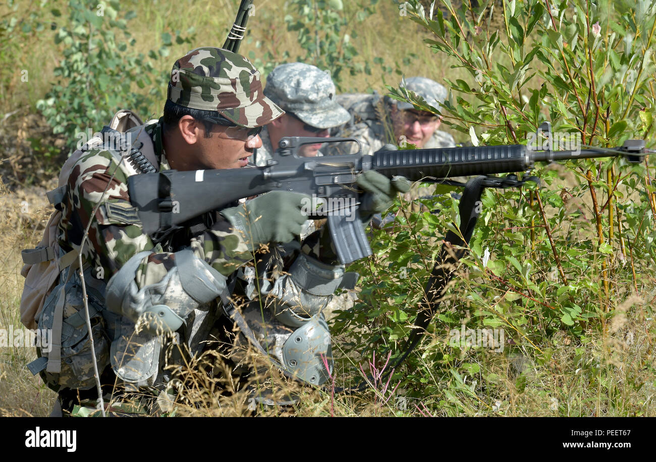 Us army ranger sergeant first hi-res stock photography and images - Alamy