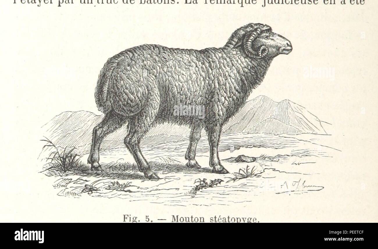 Image taken from page 42 of 'A travers le royaume de Tamerlan-Asie ...