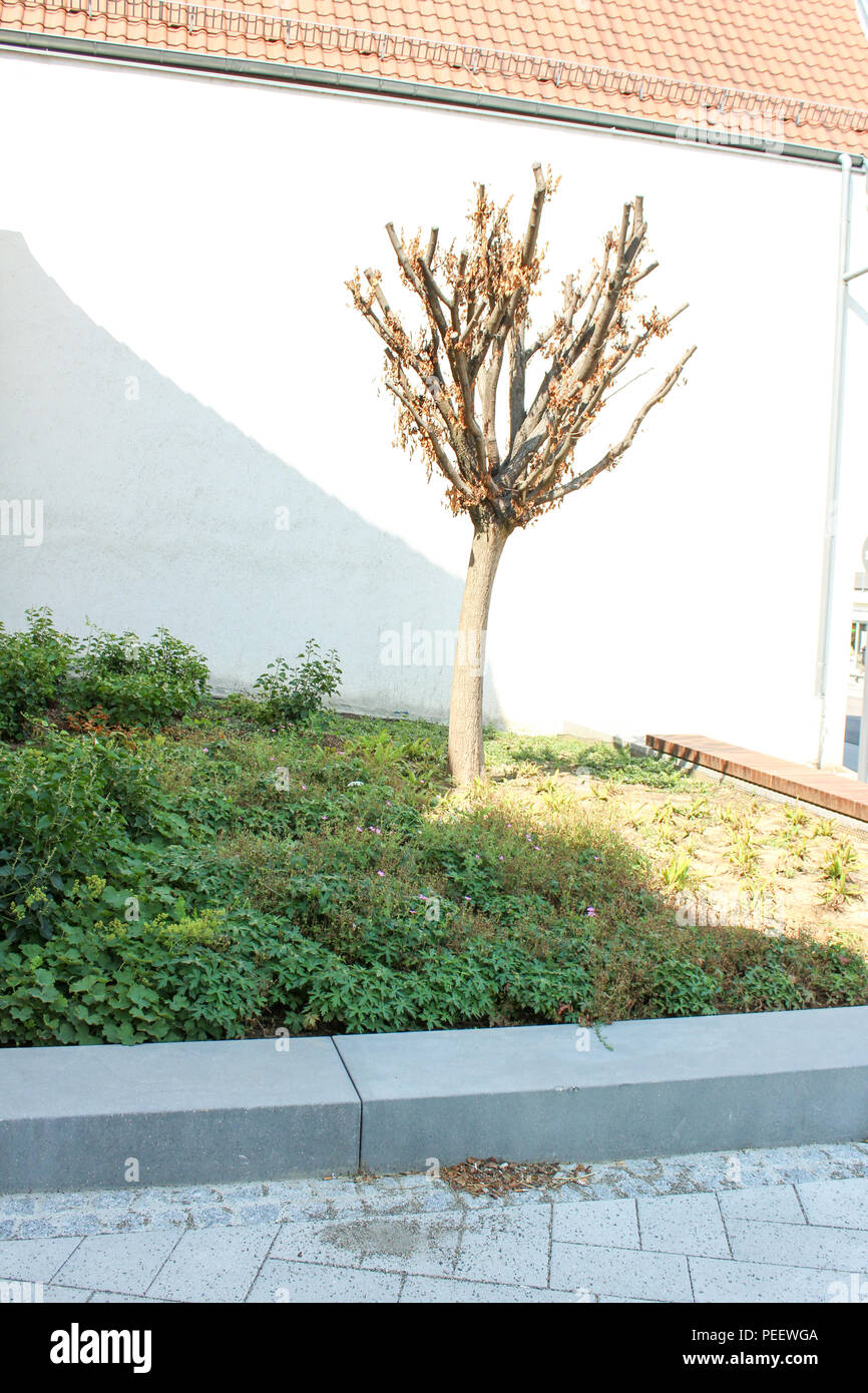 Houses and building style in Germany, Europe. Architecture designs in ...