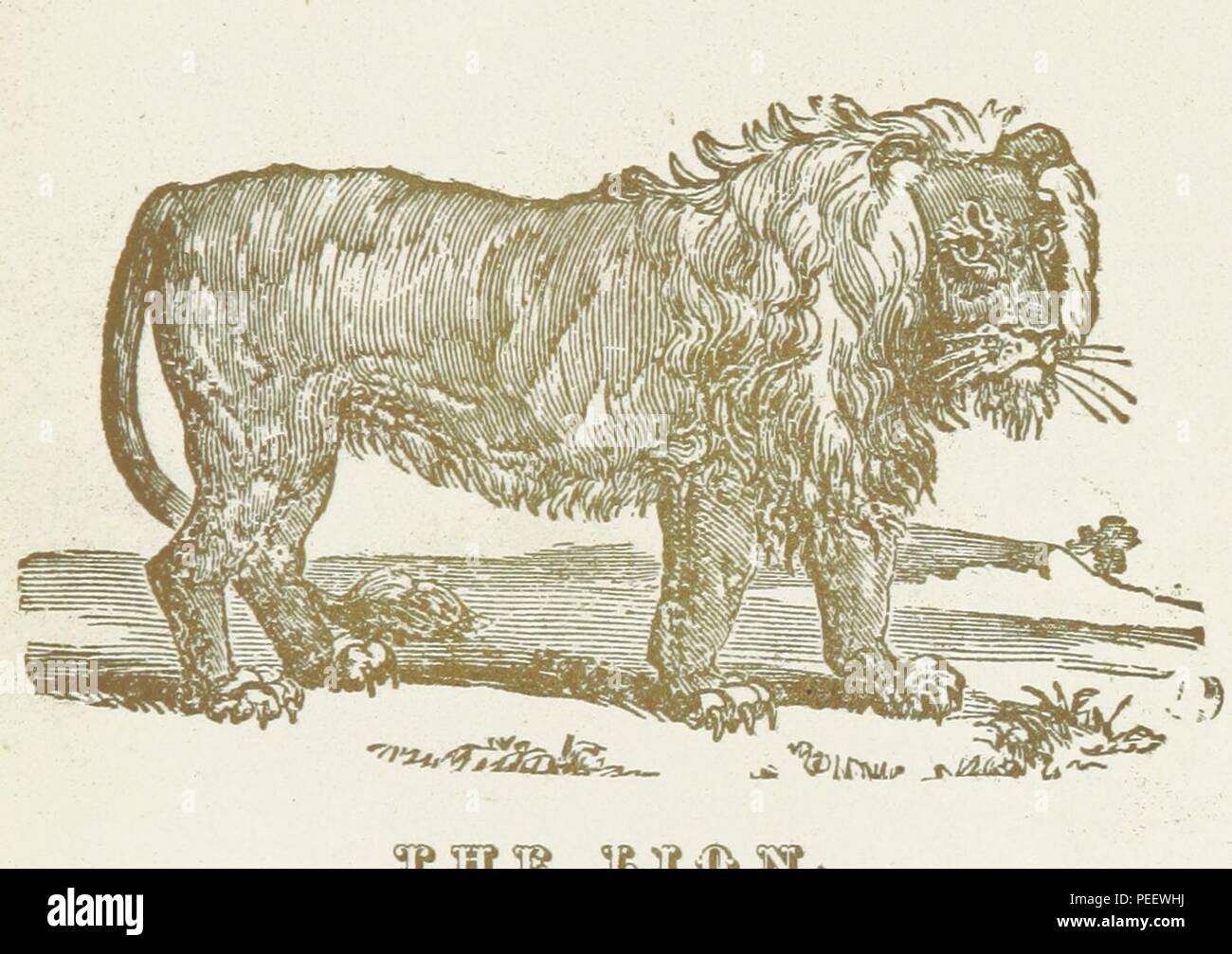 Footsteps of jesus hi-res stock photography and images - Alamy