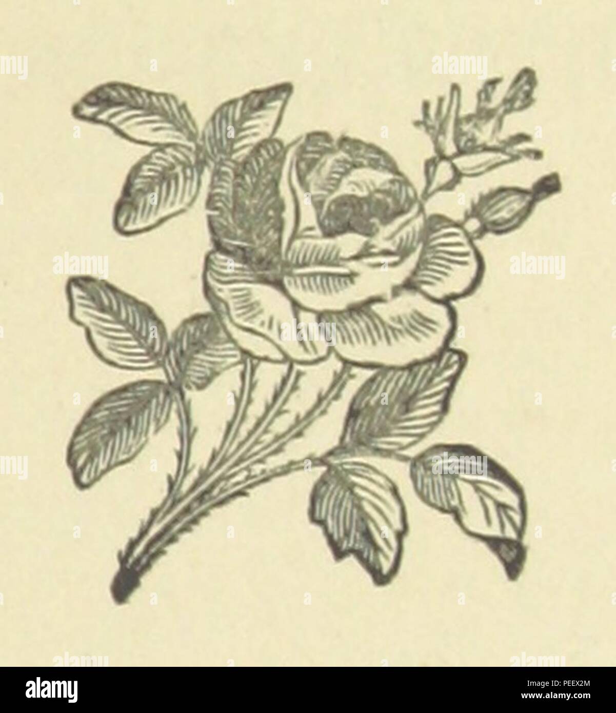 Image taken from page 139 of 'Half an Hour with a good author. By ...