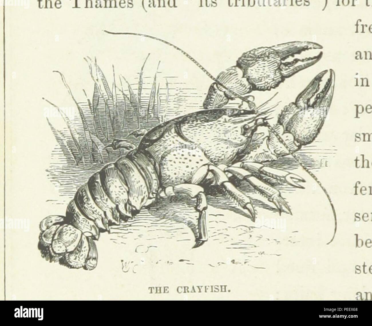 Vintage book taken from hi-res stock photography and images - Alamy