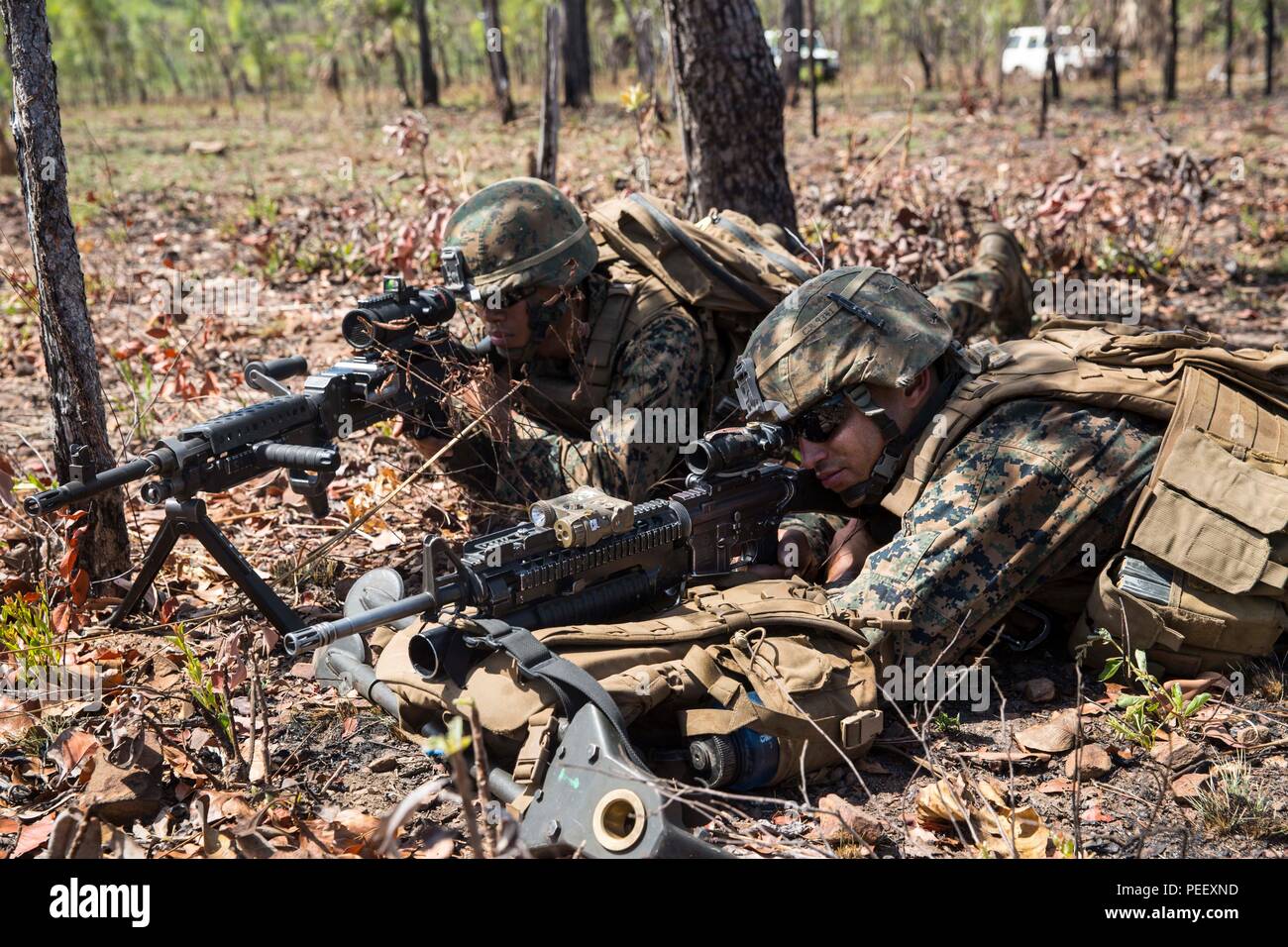 Australian Intelligence Corps High Resolution Stock Photography and ...