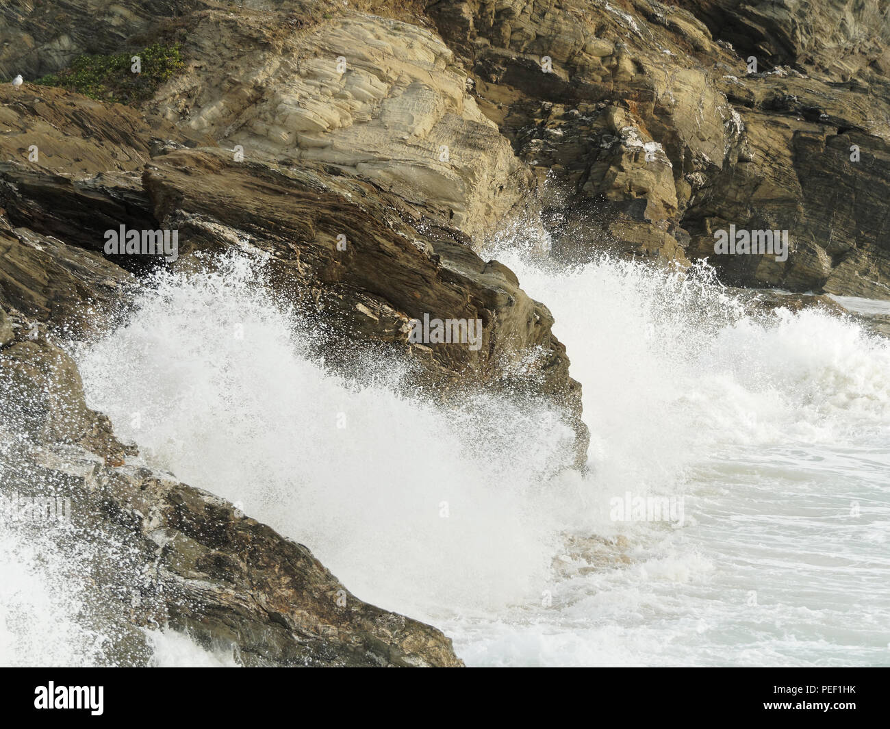 Juliette lacome hi-res stock photography and images - Alamy