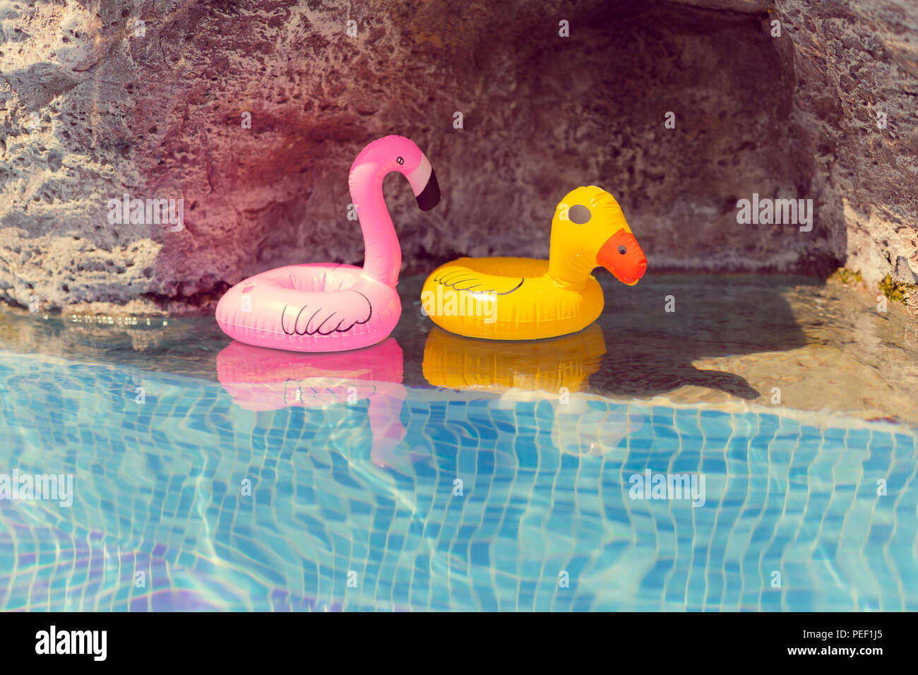 Cartoon yellow duck pool float hi-res stock photography and images - Alamy