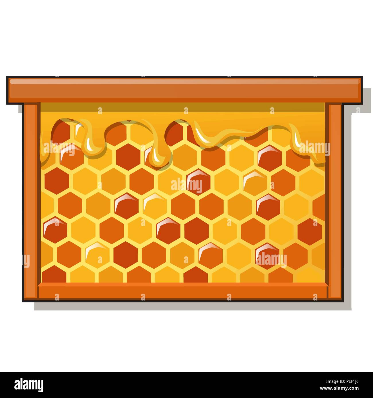 Wooden frame with sweet golden honeycomb with honey isolated on white ...