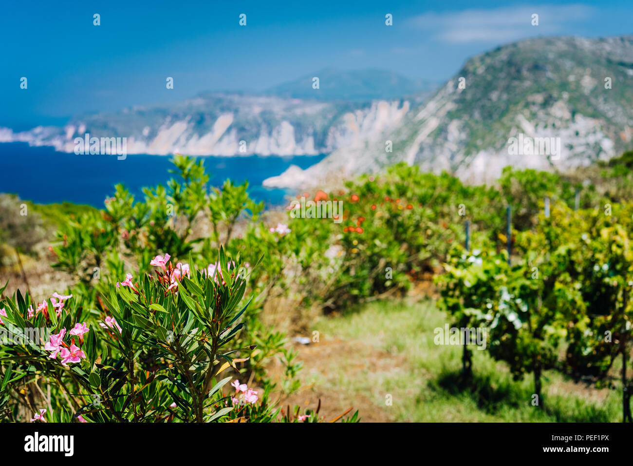 Pitani hi-res stock photography and images - Alamy